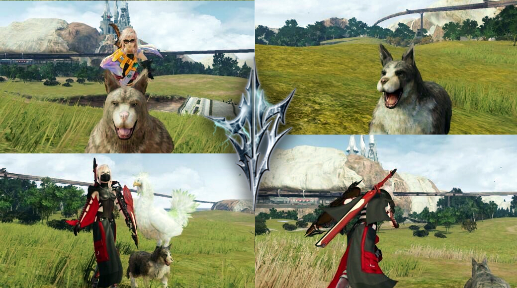 Lightning Returns Slideshow Story: Lightning & Doge – A Special ...